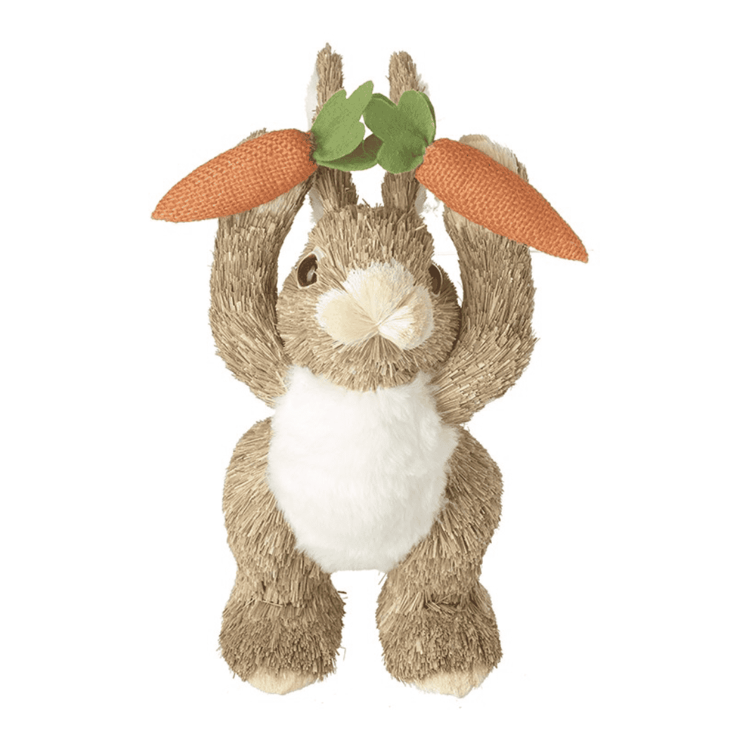 Ruby The Rabbit Lifting Carrots | Home Sweet Home